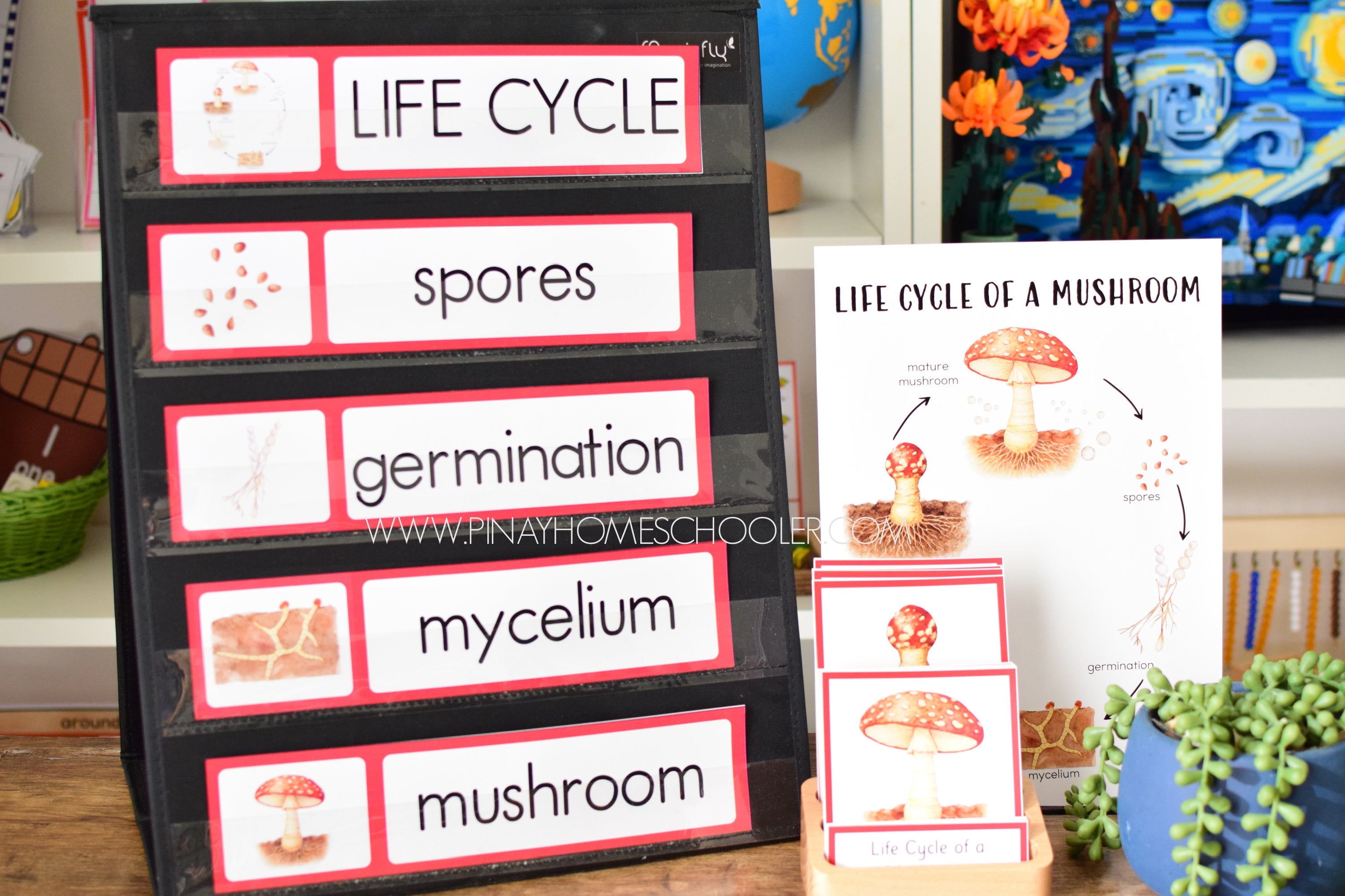 Montessori Life Cycle of a Mushroom – Pinay Homeschooler Shop