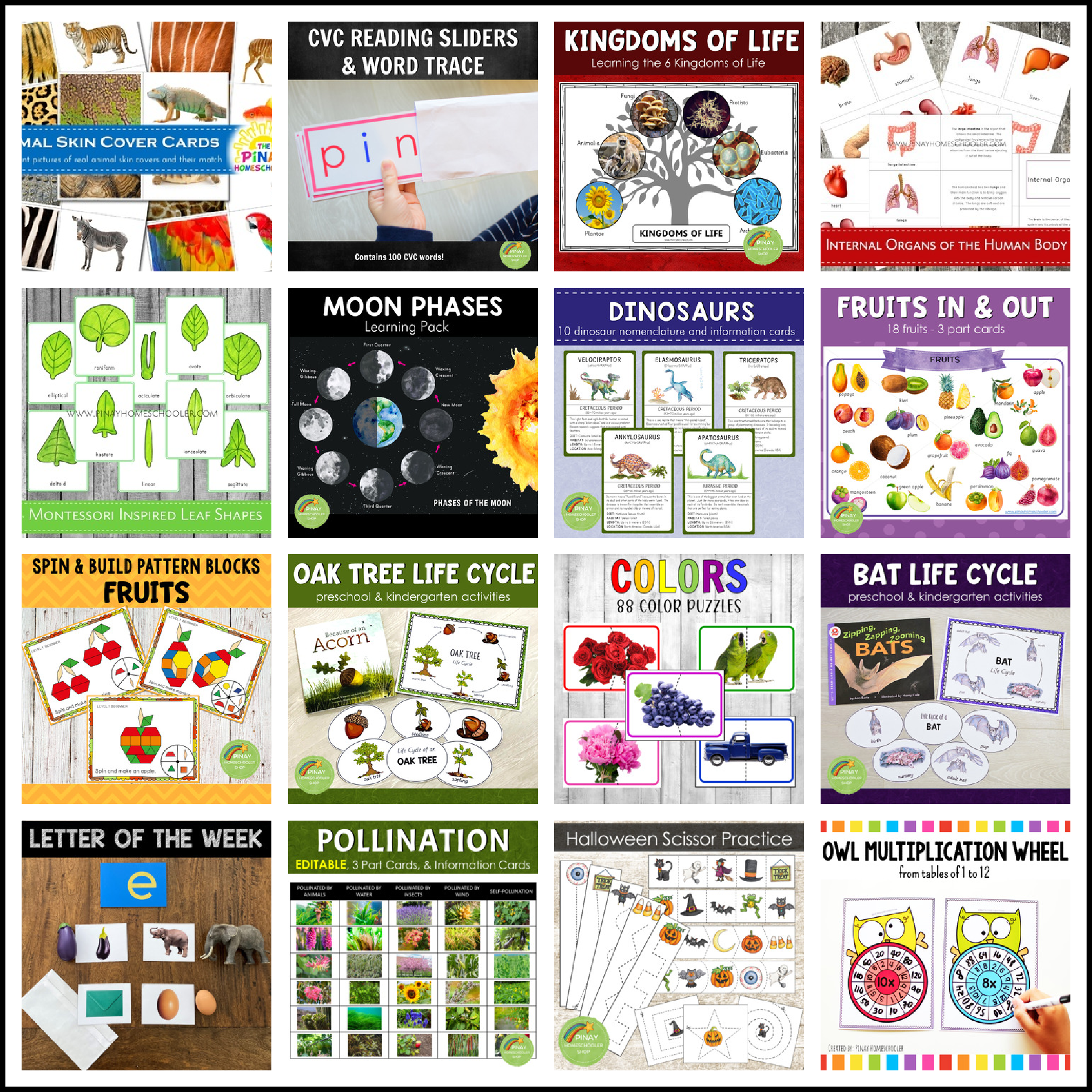 💥DOLLAR DEALS!!💥 – Pinay Homeschooler Shop