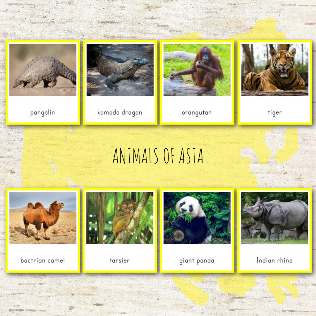Animals of Asia Montessori 3 Part Cards and Fact Cards – Pinay ...