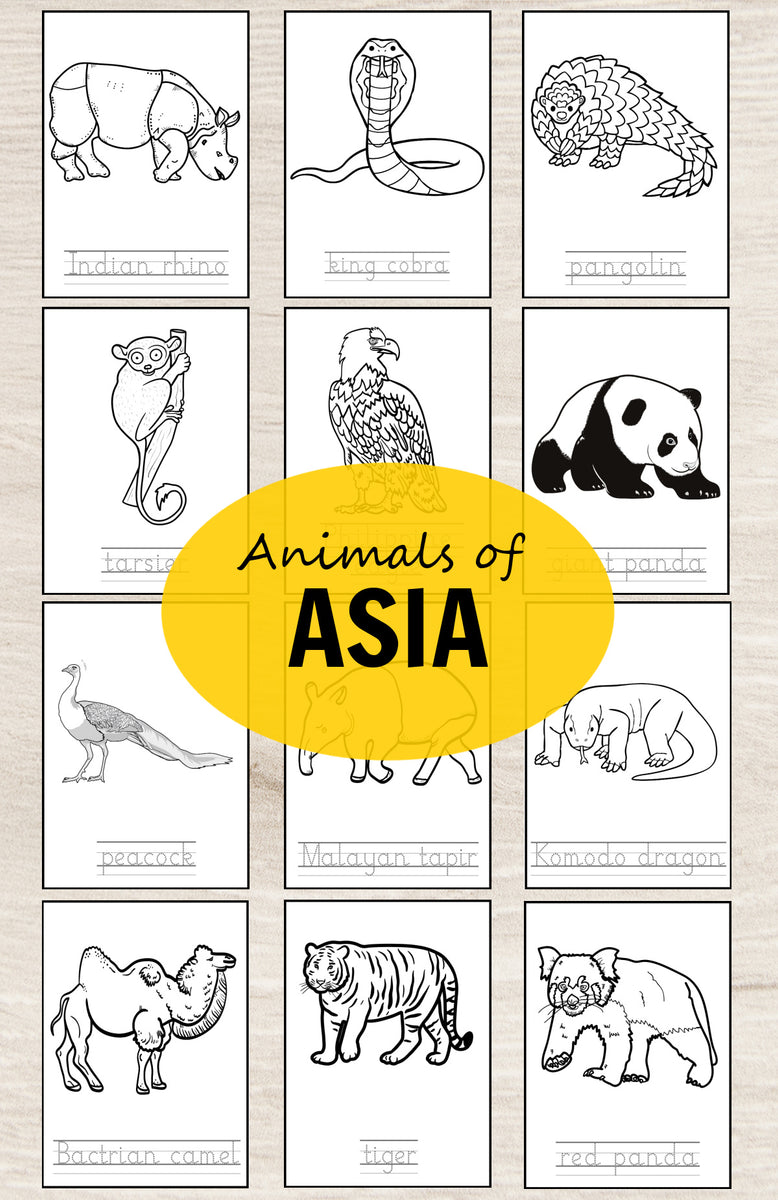 Animals of Asia Montessori 3 Part Cards and Fact Cards – Pinay ...