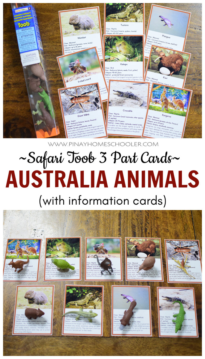 Montessori Australian Continent Animals Toob 3 Part Cards – Pinay ...