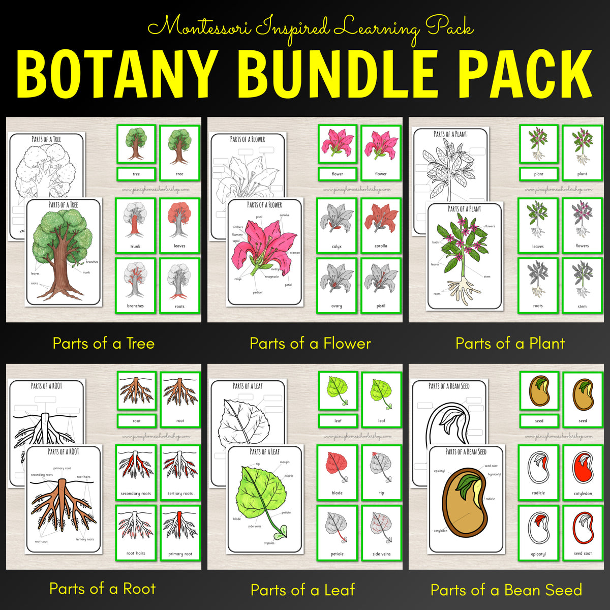 Botany Bundle - Montessori Pack – Pinay Homeschooler Shop