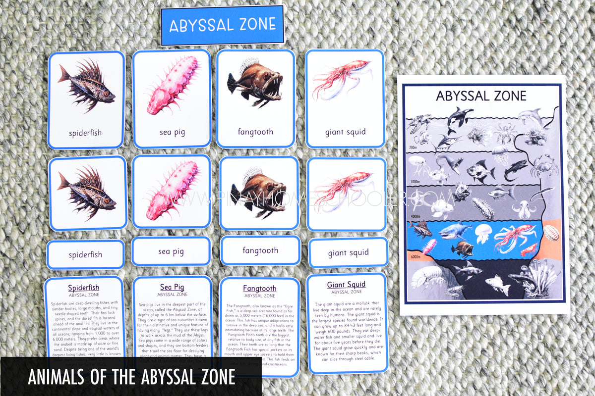 Ocean Layers Depth Zones Montessori Cards – Pinay Homeschooler Shop