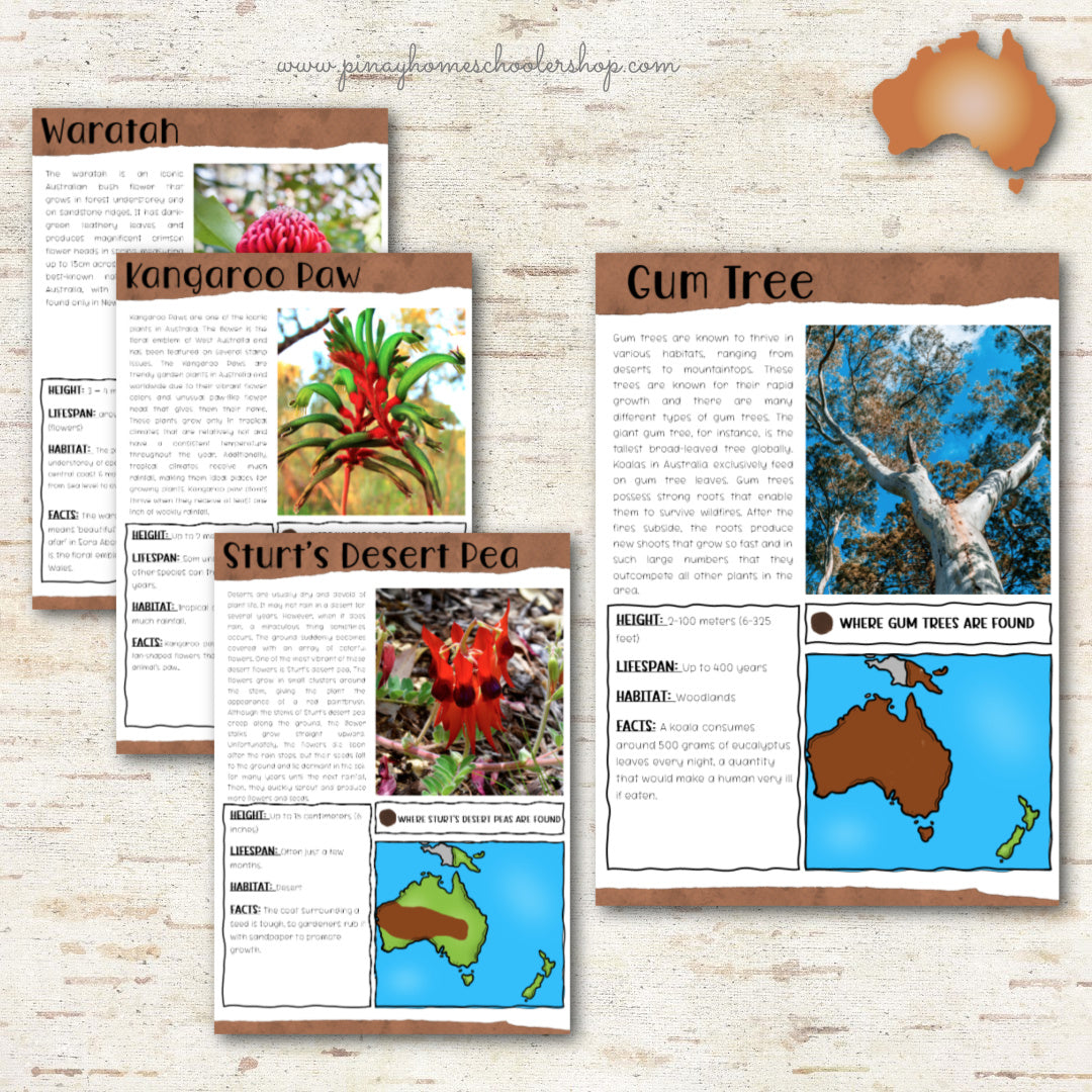 Plants of Australia Oceania Montessori 3 Part Cards – Pinay ...