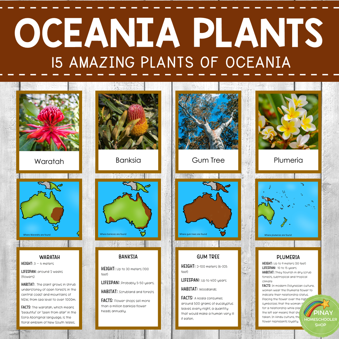 Plants of Oceania Montessori 3 Part Cards – Pinay Homeschooler Shop