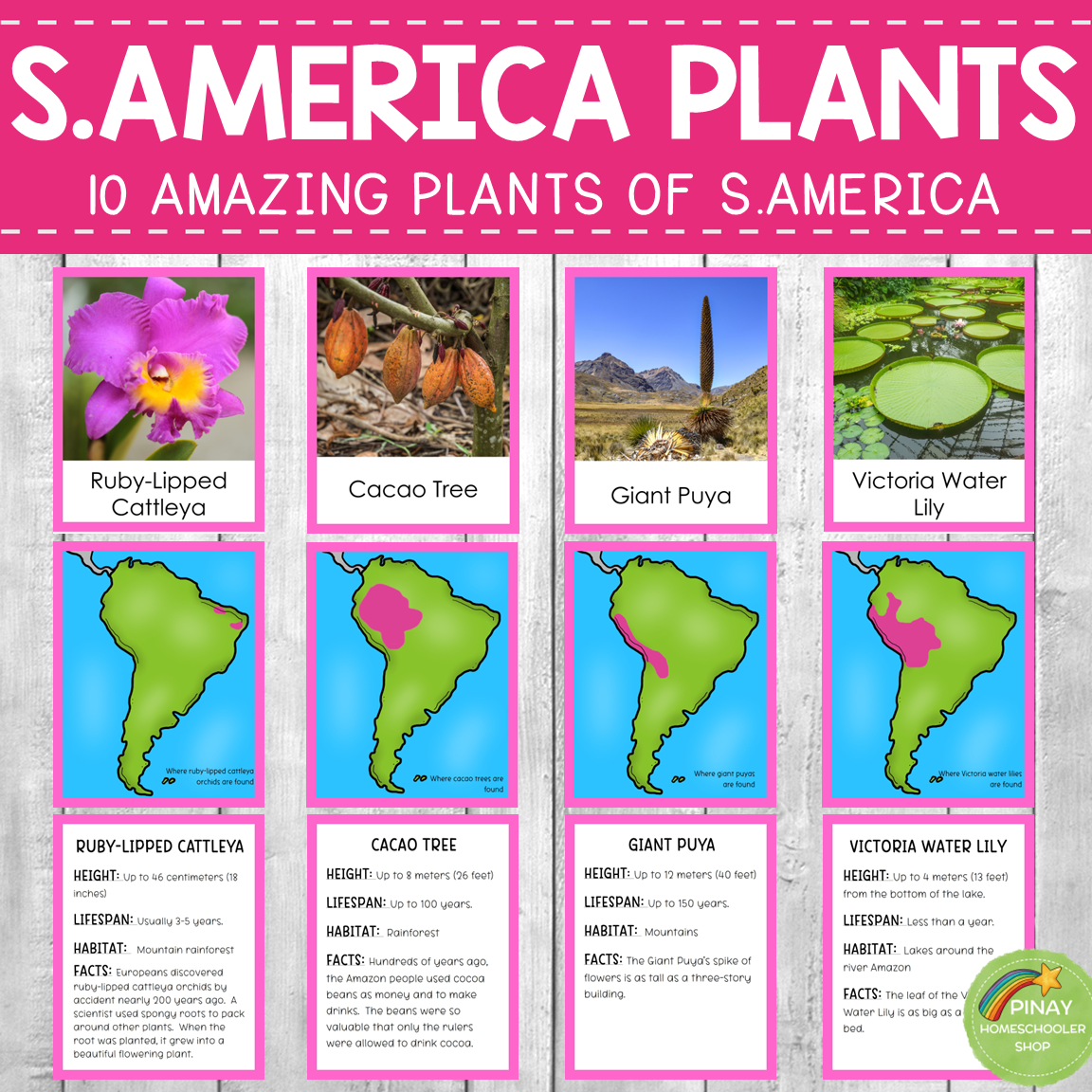 Plants of South America Montessori 3 Part Cards – Pinay Homeschooler Shop