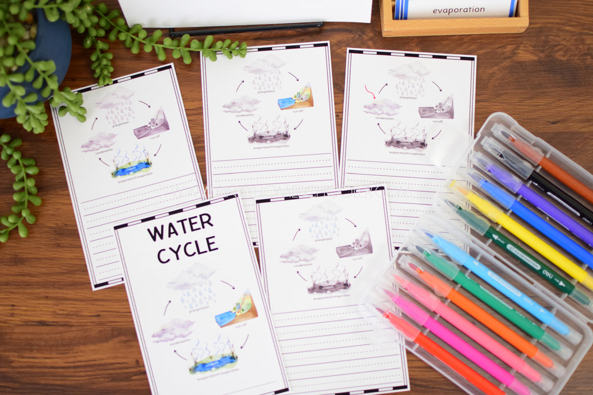 Water Cycle Montessori Inspired – Pinay Homeschooler Shop