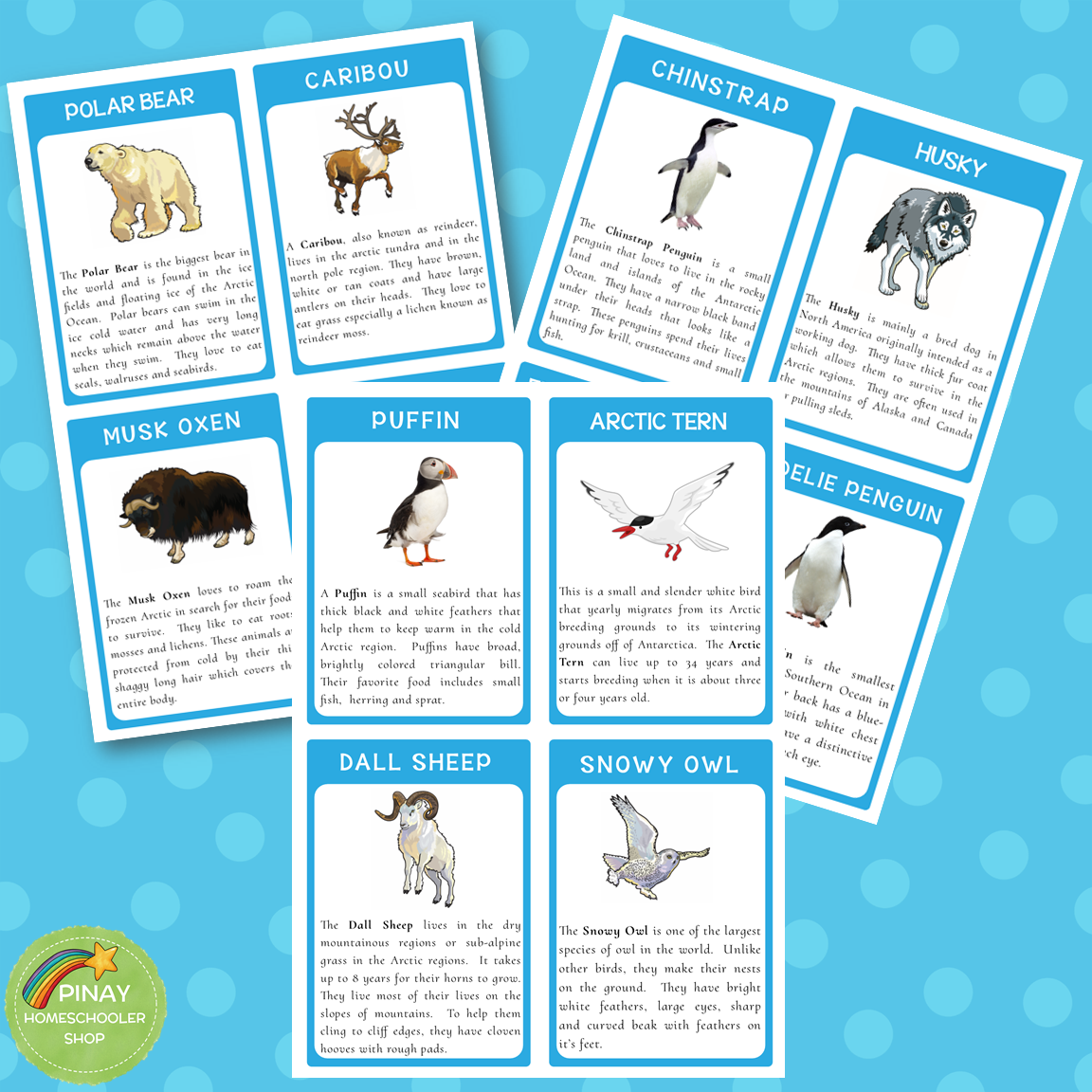 Arctic and Antarctic Preschool and Kindergarten Mini Unit Activities ...