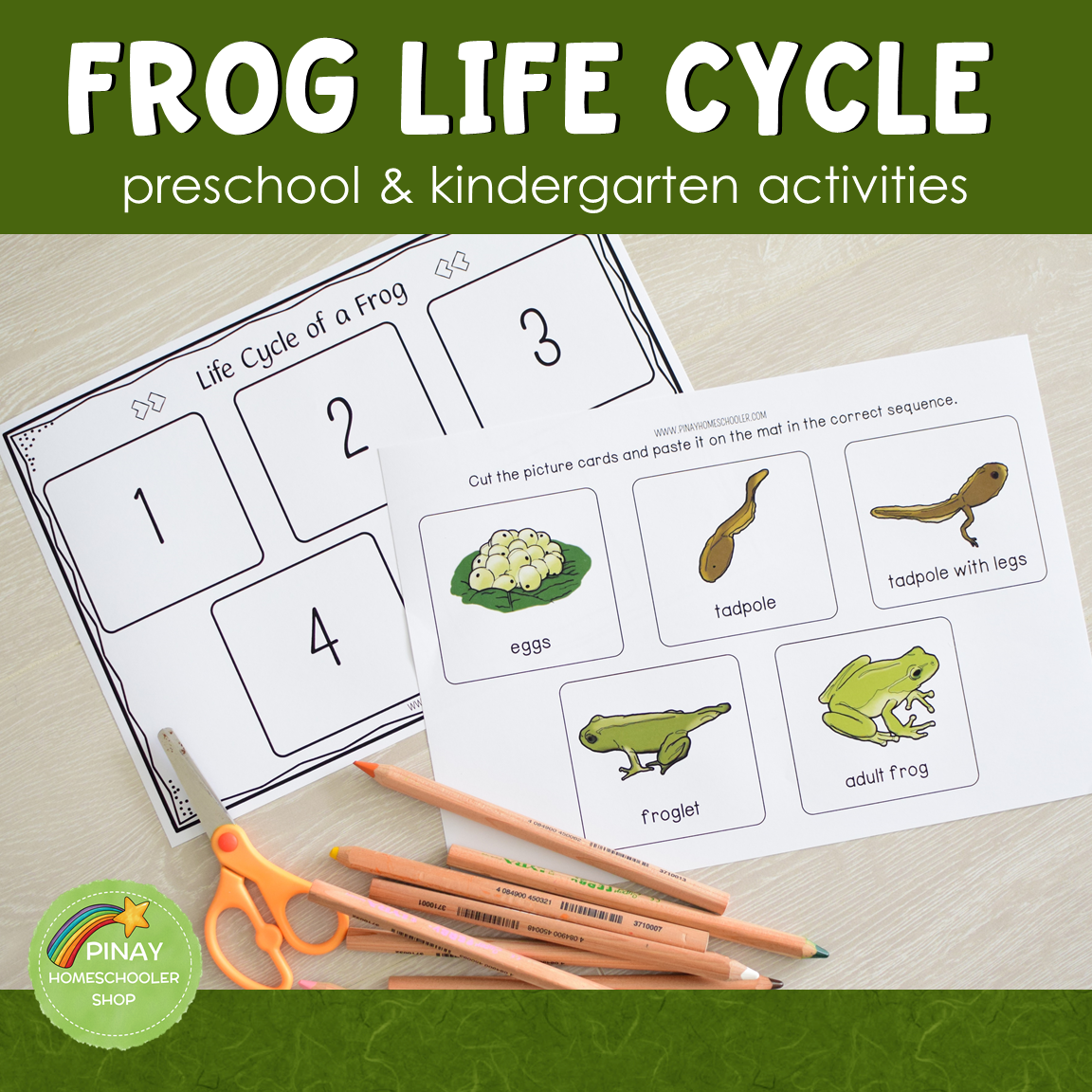 Frog Life Cycle Activity Set -Preschool & Kindergarten Science Centers ...