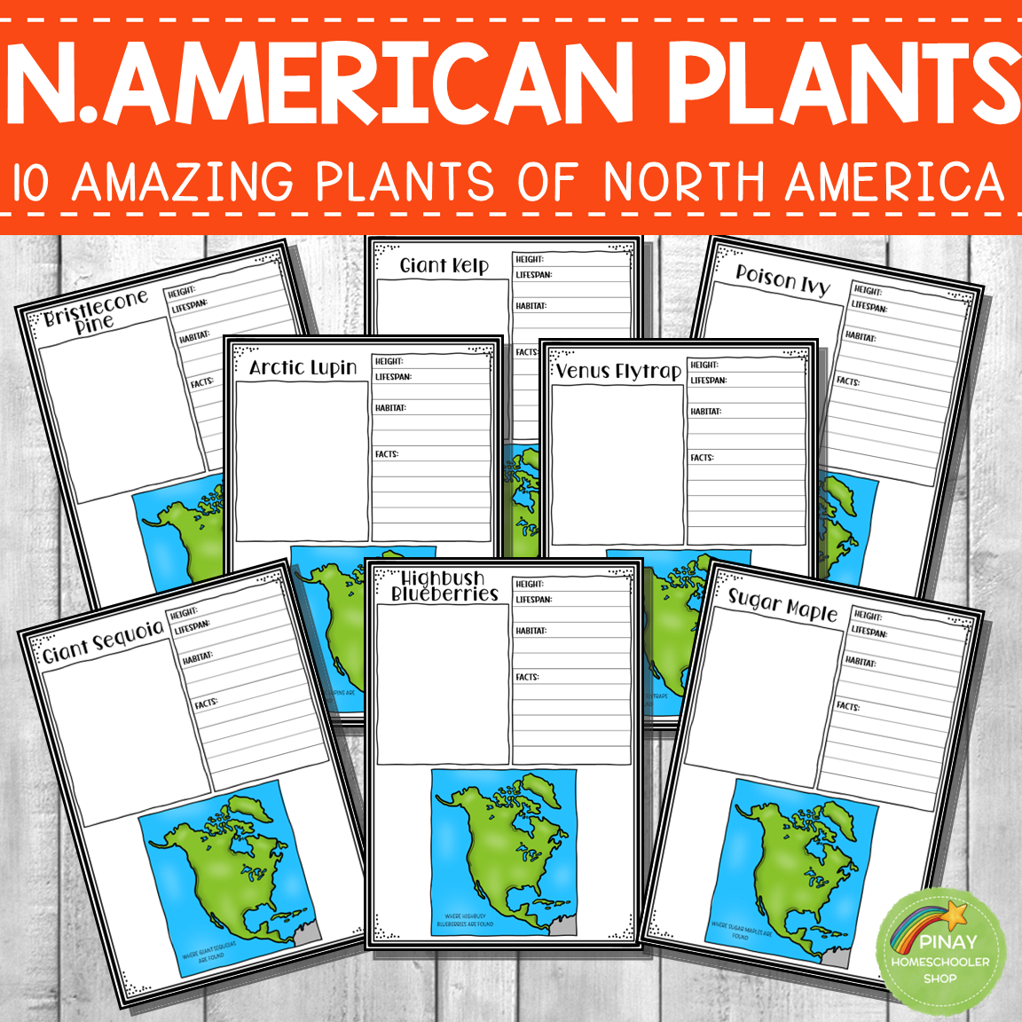 Plants of North America Montessori 3 Part Cards – Pinay Homeschooler Shop