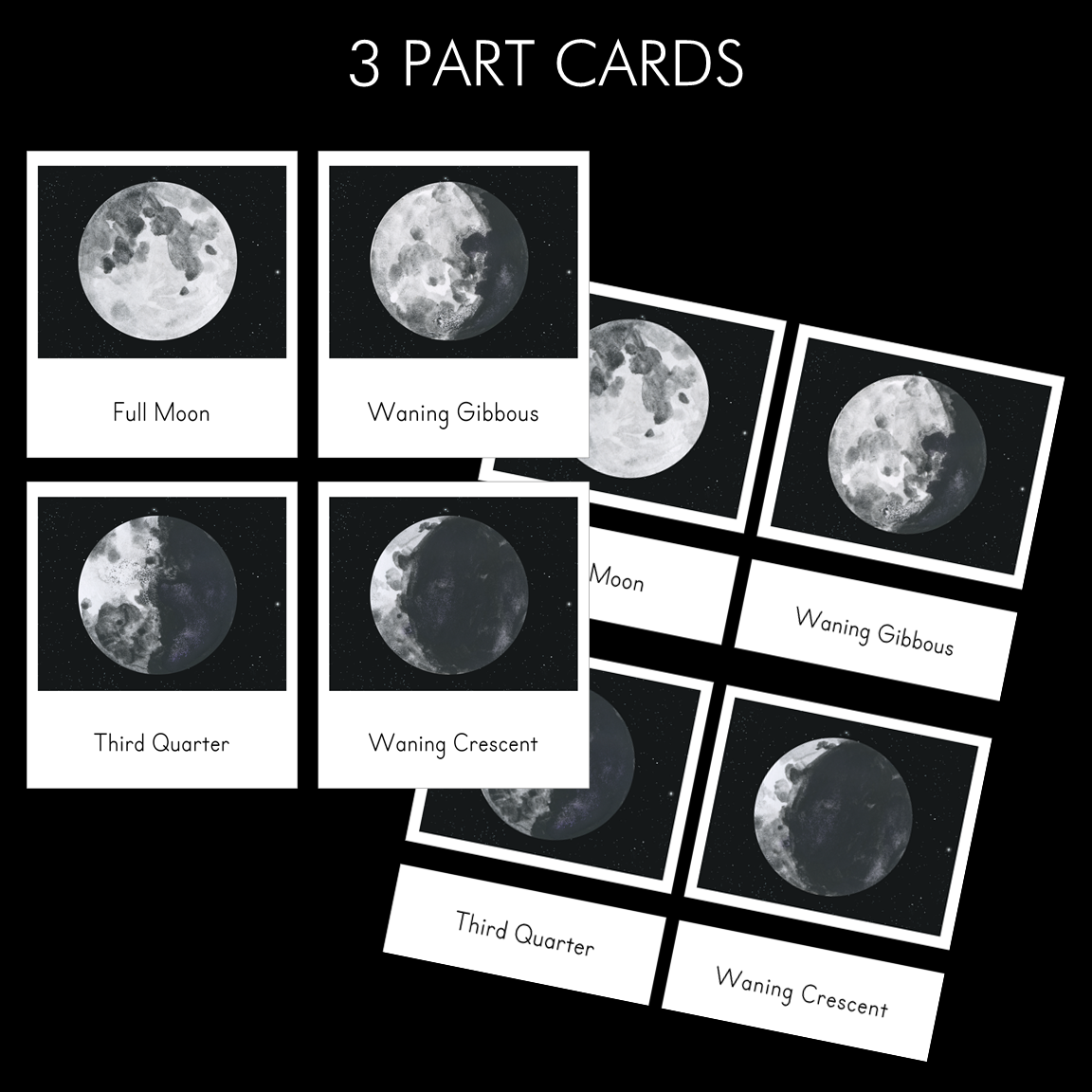 Phases of the Moon Montessori 3 Part Cards – Pinay Homeschooler Shop