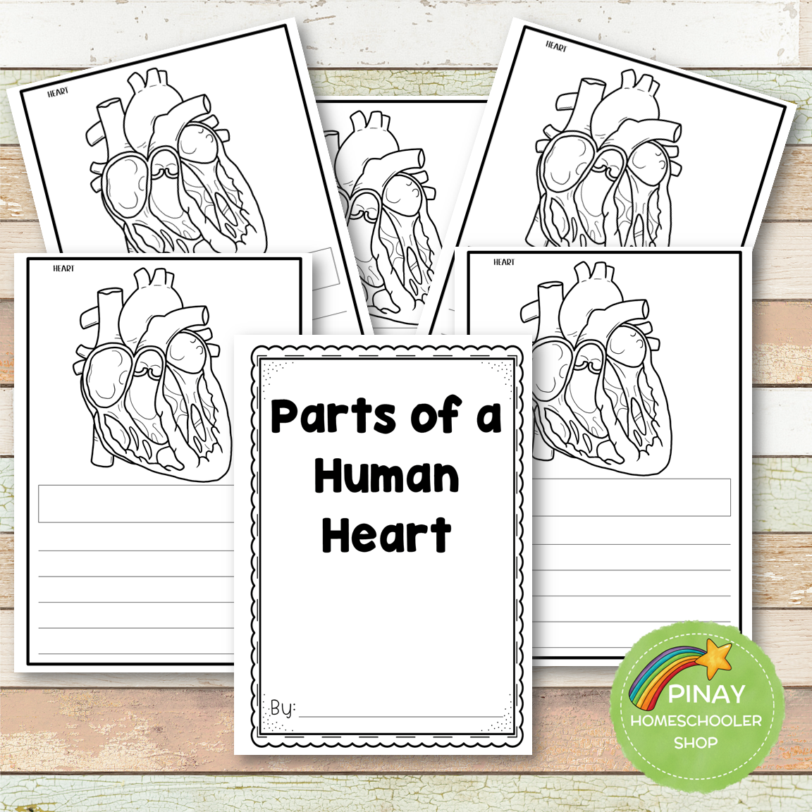 Parts of a Human Heart Learning Pack – Pinay Homeschooler Shop