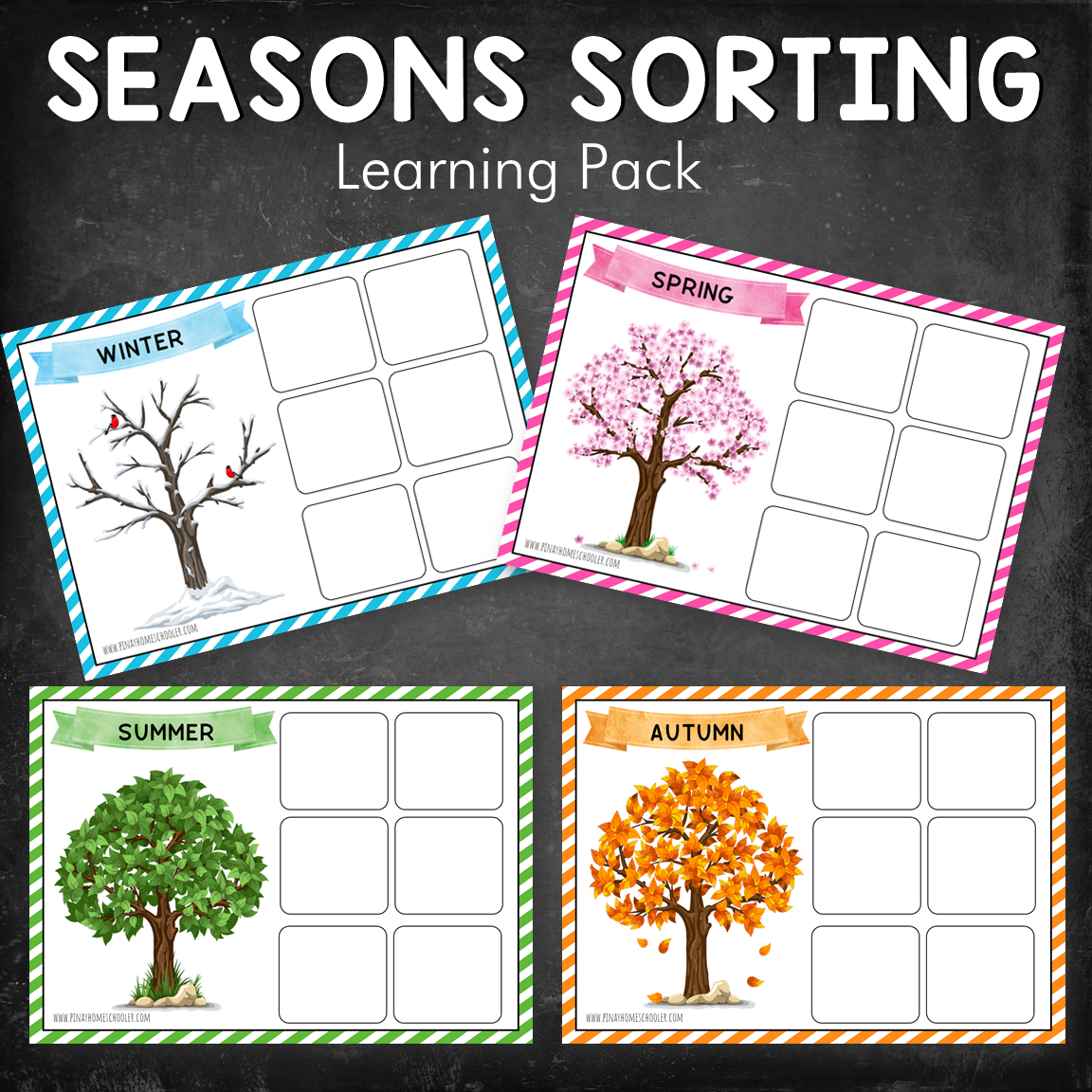 Four Seasons Sorting Activity (REAL IMAGES) – Pinay Homeschooler Shop