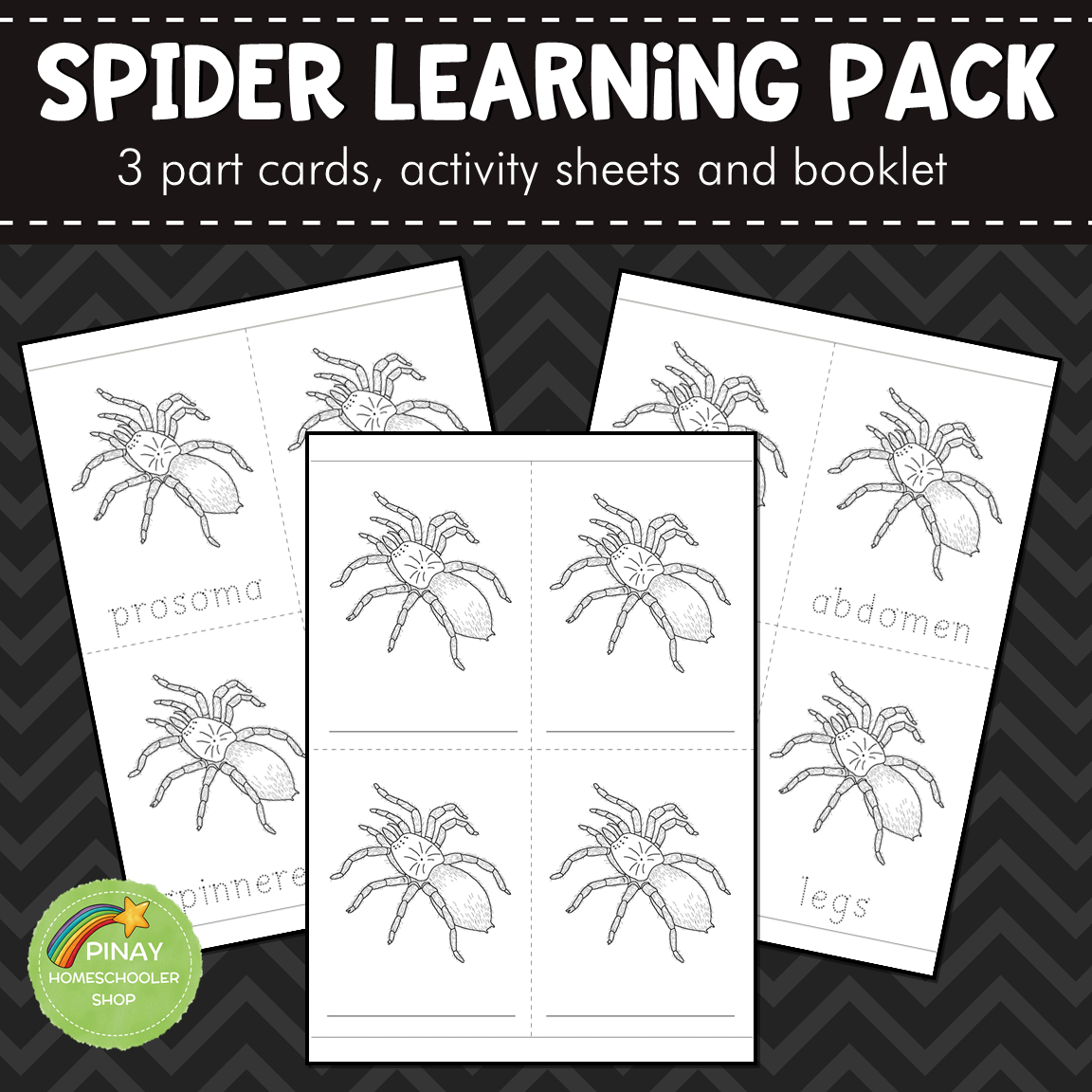 Montessori Parts of a Spider 3 Part Cards – Pinay Homeschooler Shop