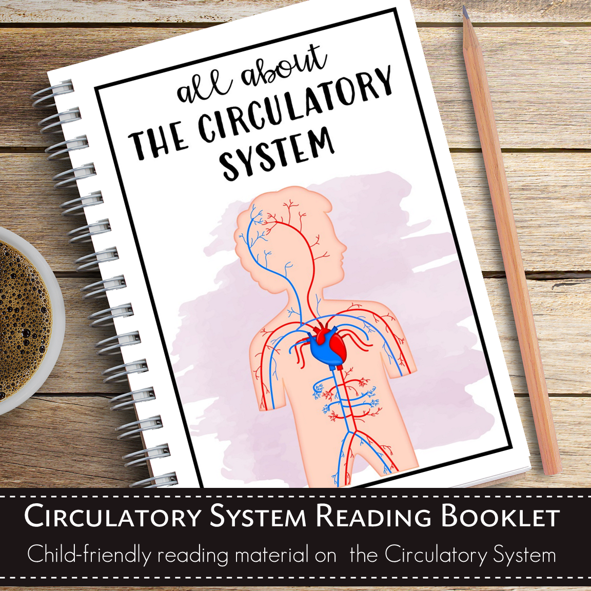 Circulatory System Reading Booklet – Pinay Homeschooler Shop