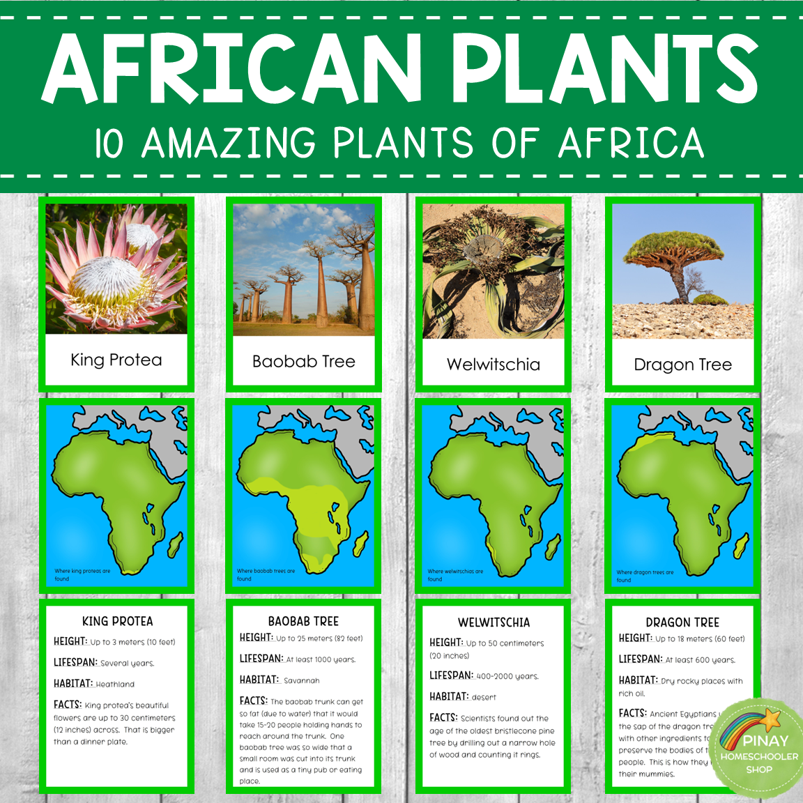 Plants of Africa Montessori 3 Part Cards – Pinay Homeschooler Shop