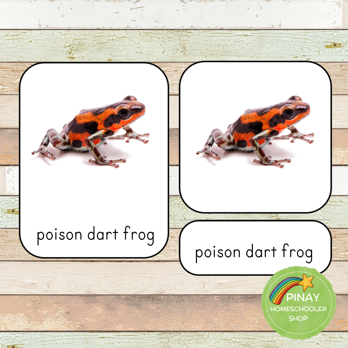 Montessori Rainforest Toob 3 Part Cards [EDITABLE] – Pinay Homeschooler ...