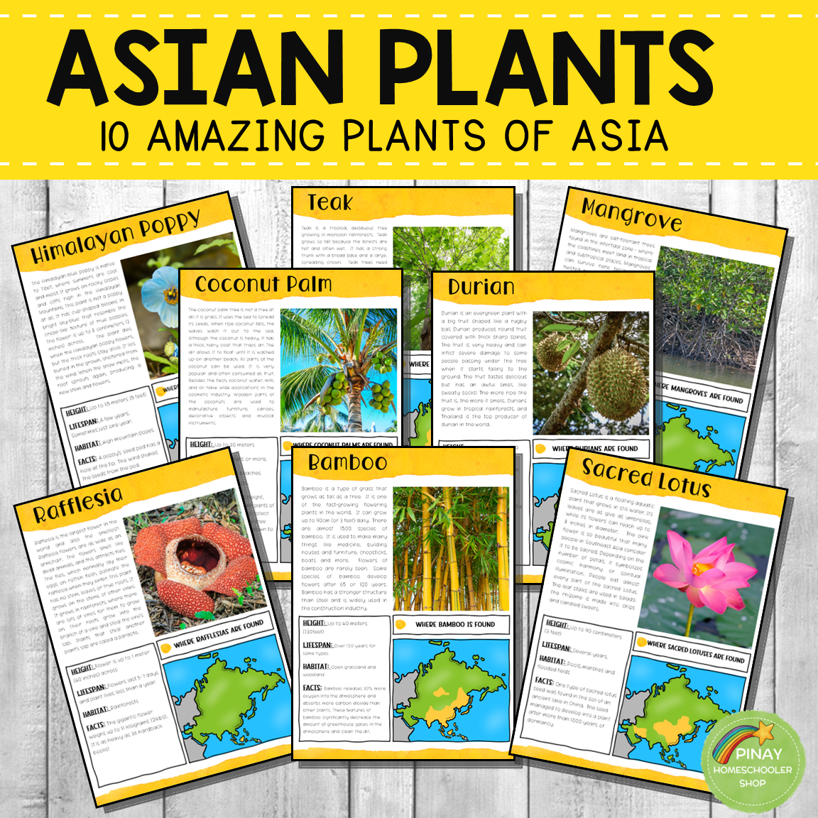 Plants Around the World Bundle Pack (COMPLETE) – Pinay Homeschooler Shop