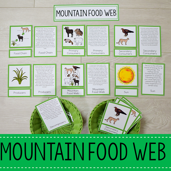 Mountain Biome Food Web and Food Chains Learning Pack – Pinay ...