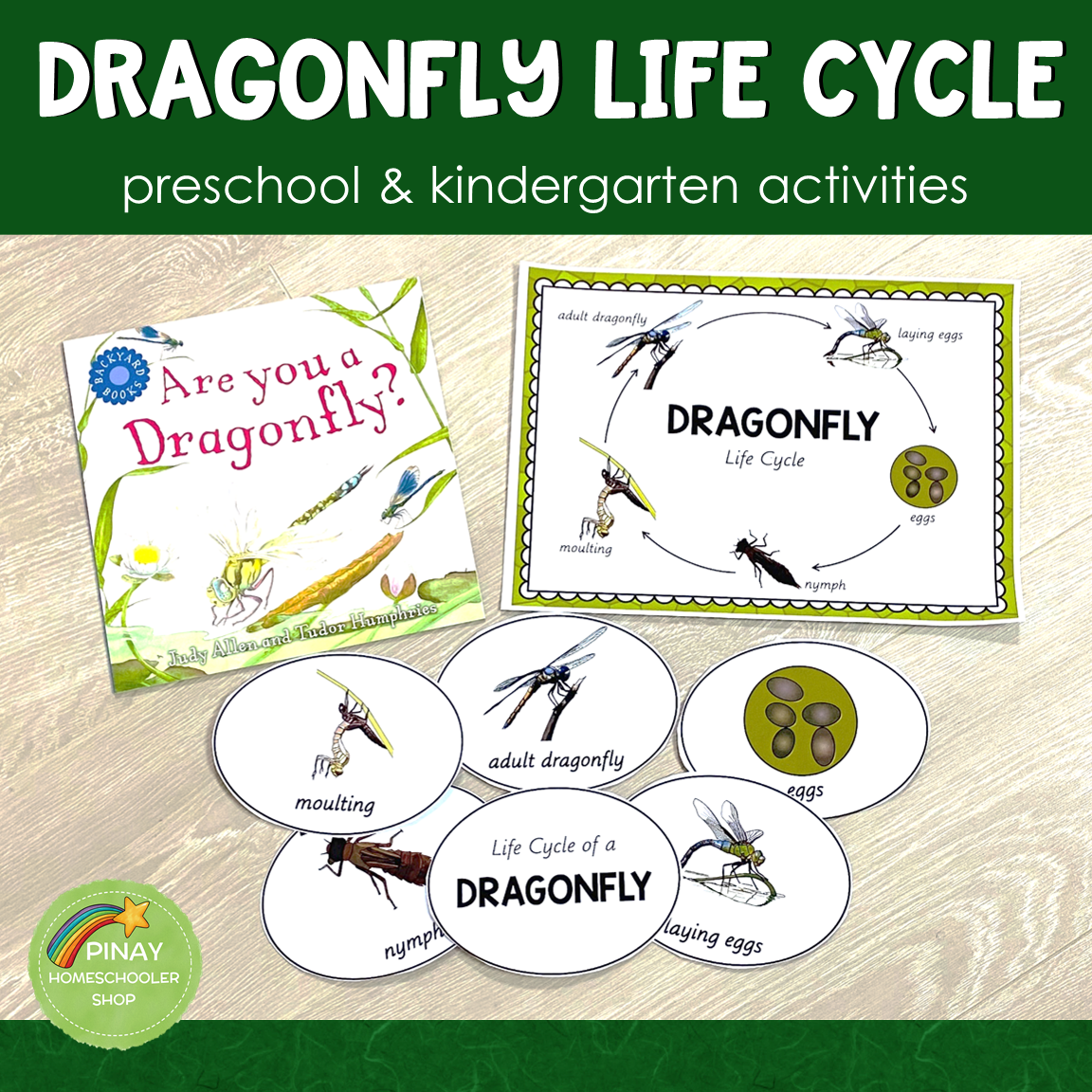 Dragonfly Life Cycle Set - Preschool & Kindergarten – Pinay ...