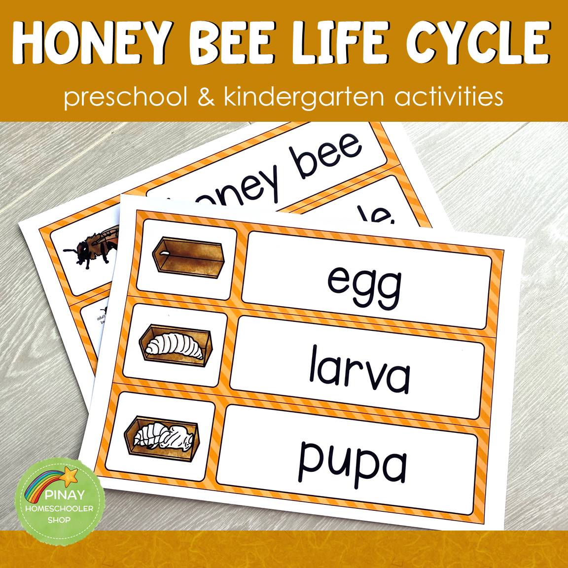 Honey Bee Life Cycle Set - Preschool & Kindergarten Science Centers ...