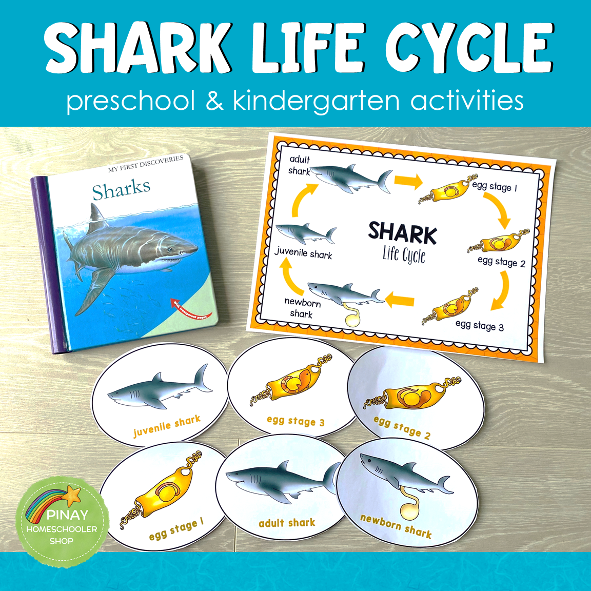 Shark Life Cycle Set - Preschool & Kindergarten – Pinay Homeschooler Shop