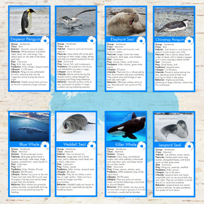 Animals of Antarctica Montessori 3 Part Cards and Fact Cards – Pinay ...