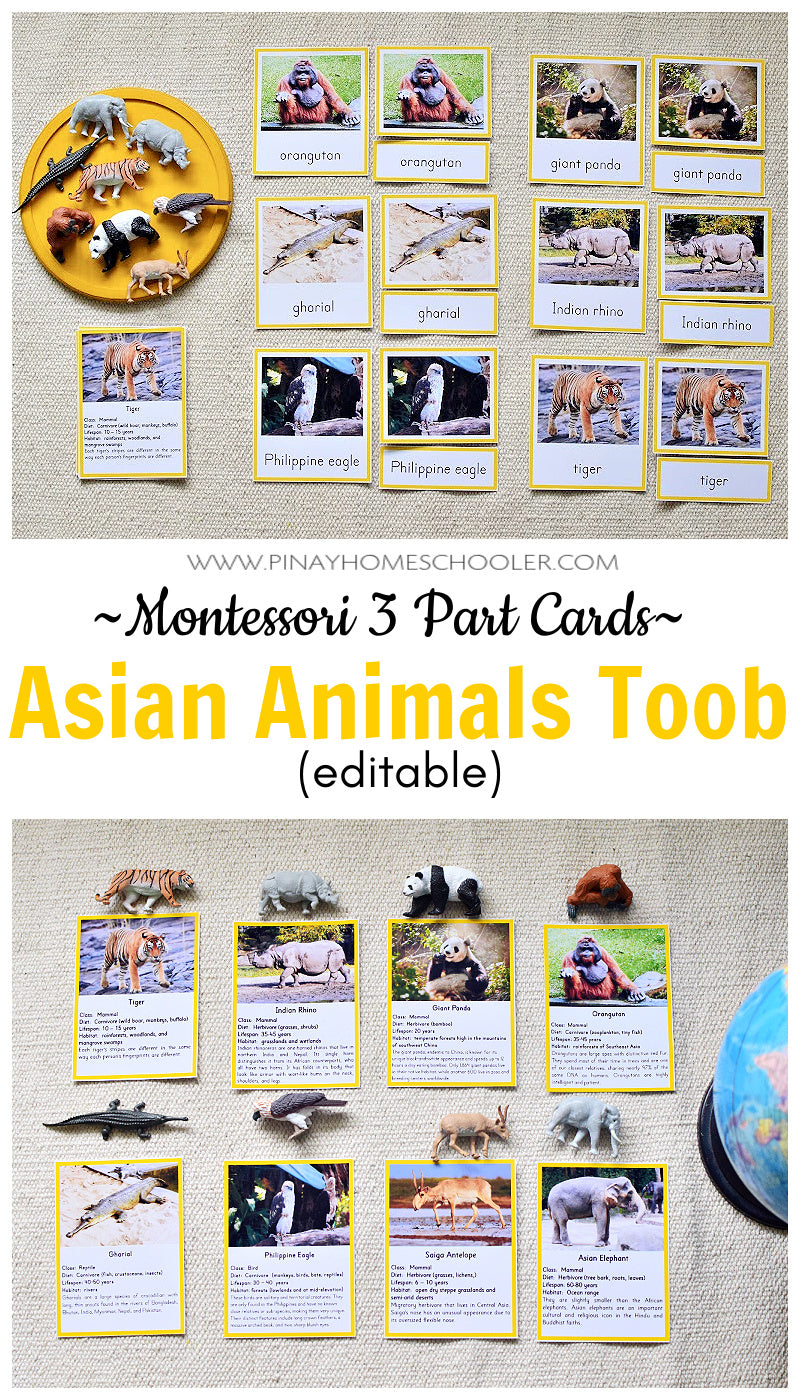 Montessori Asian Animals Toob 3 Part Cards [EDITABLE] – Pinay ...