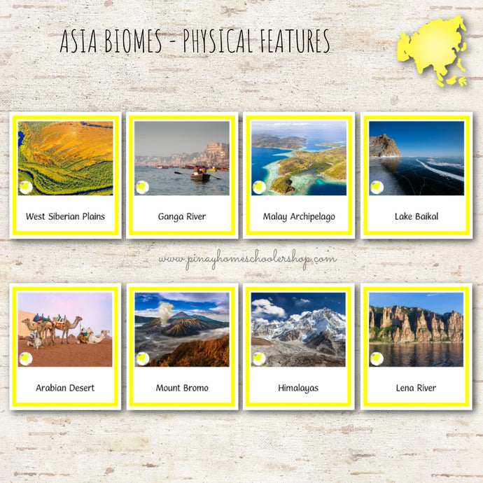 Asia Biomes and Physical Features - Montessori Inspired – Pinay ...