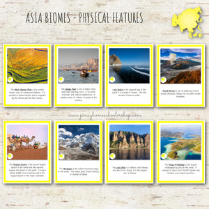 Asia Biomes and Physical Features - Montessori Inspired – Pinay ...