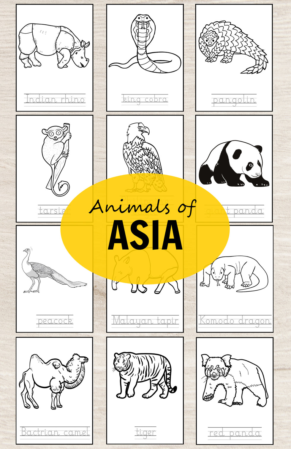 Animals of Asia Montessori 3 Part Cards and Fact Cards – Pinay ...