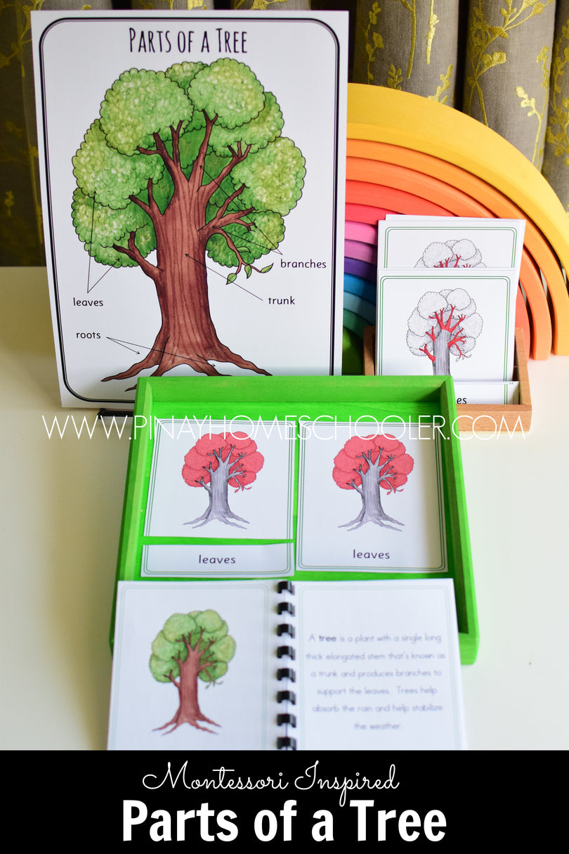 Parts of a Tree - Montessori Inspired – Pinay Homeschooler Shop