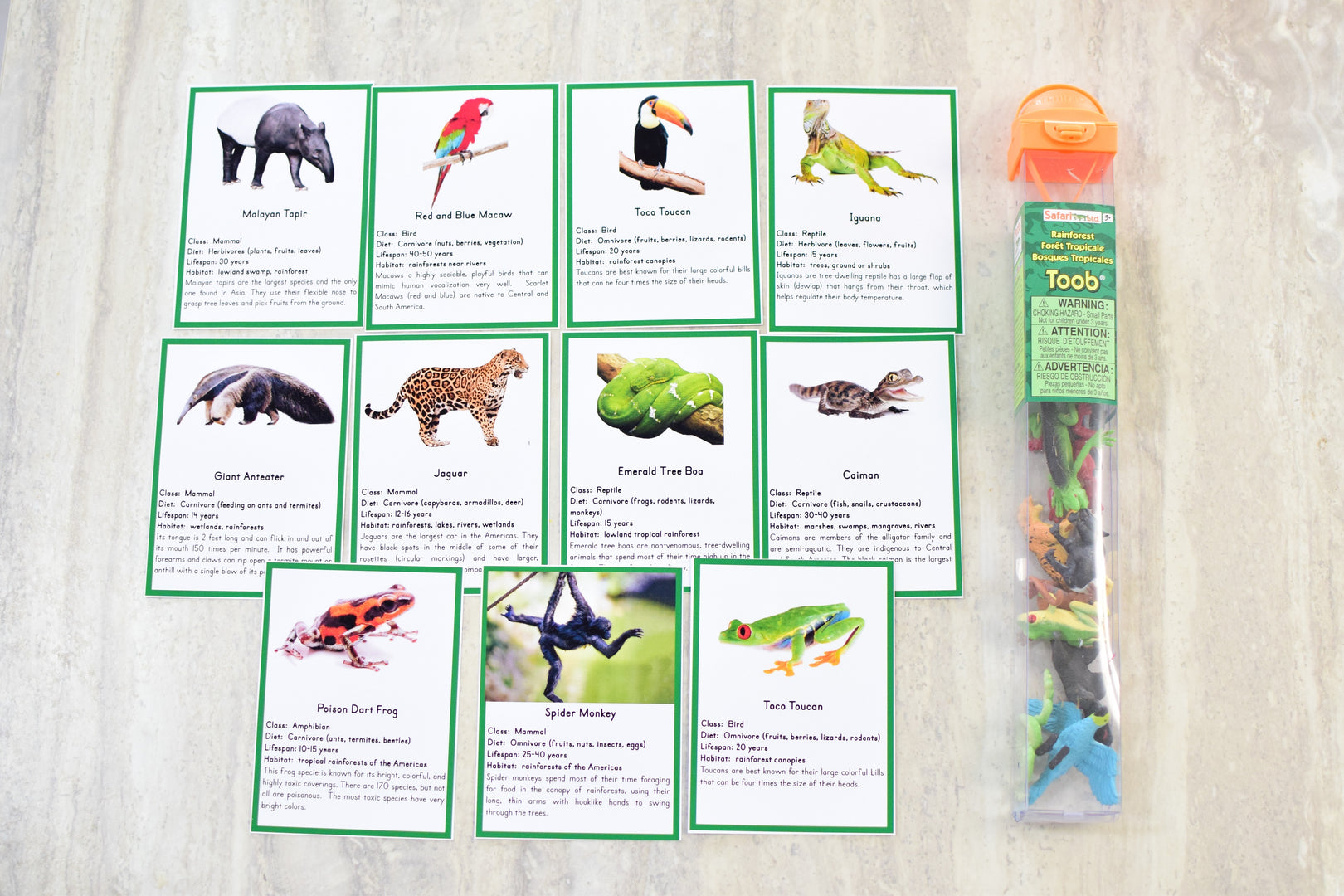Montessori Rainforest Toob 3 Part Cards [EDITABLE] – Pinay Homeschooler ...