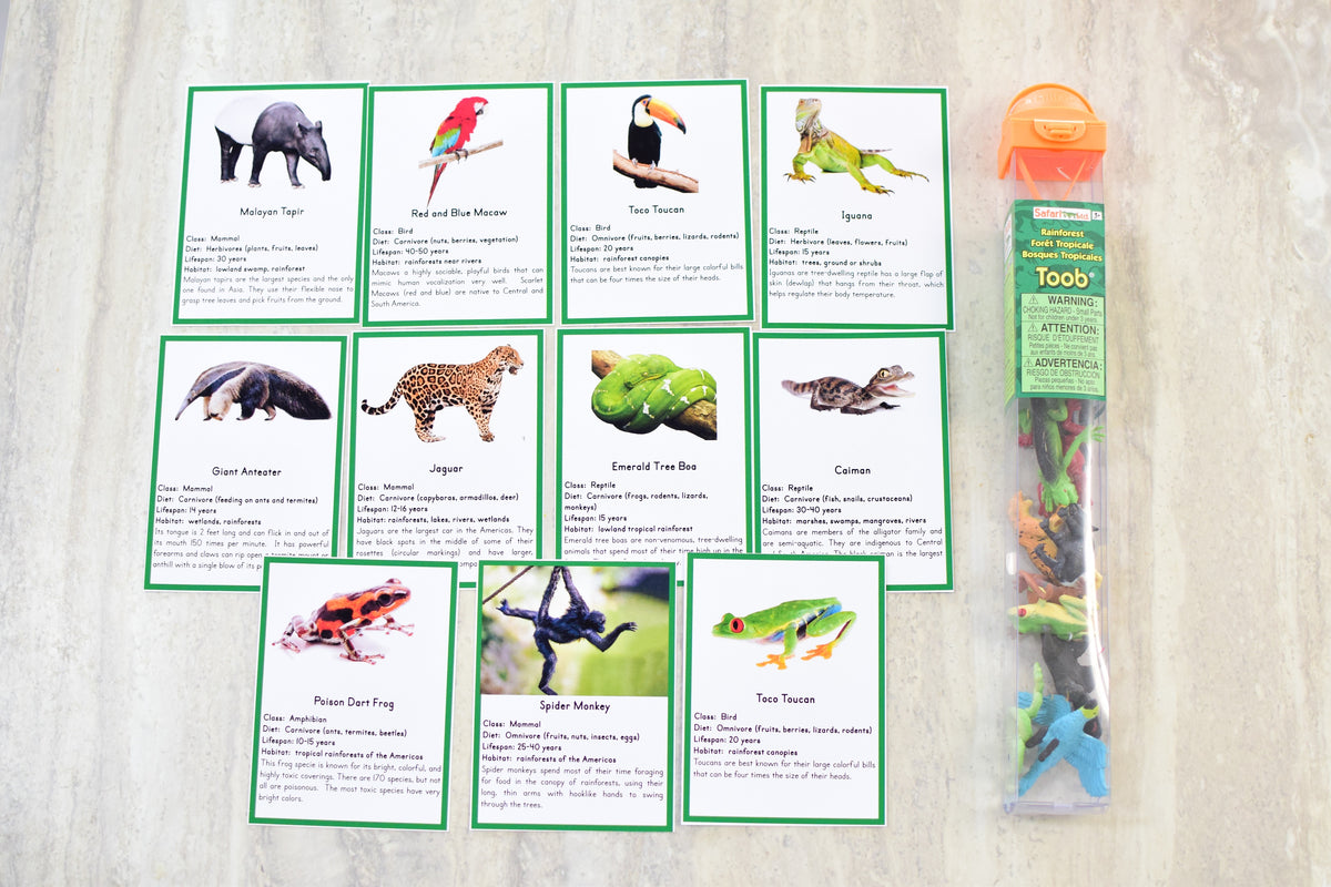 Montessori Rainforest Toob 3 Part Cards [EDITABLE] – Pinay Homeschooler ...