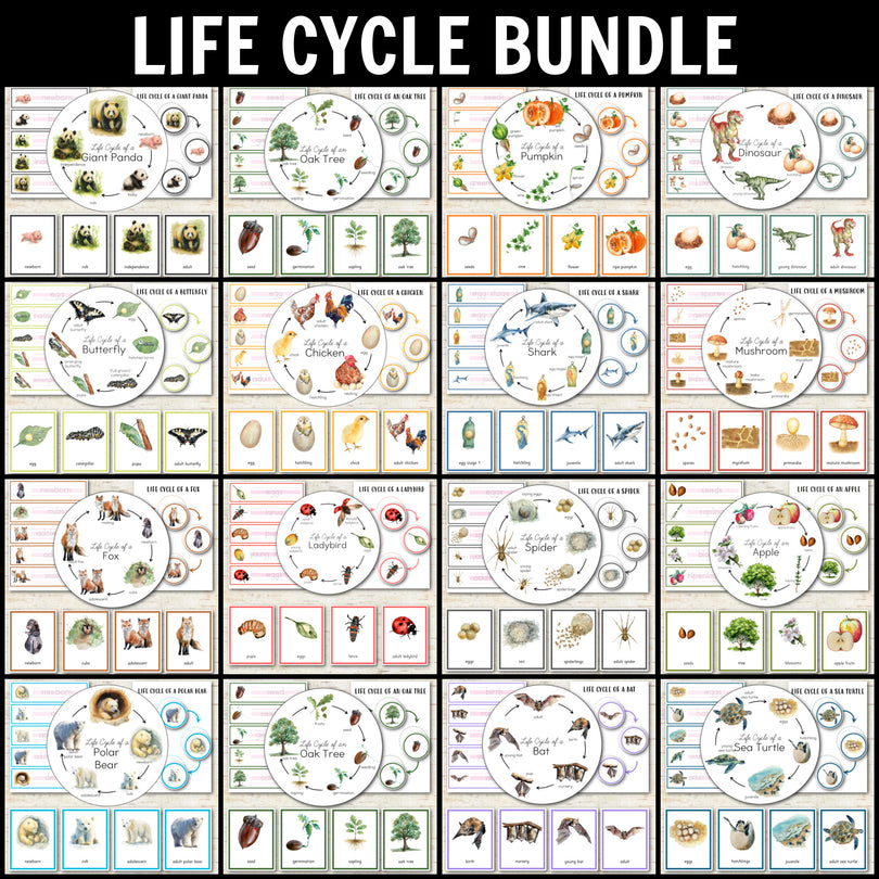 Growing BUNDLE of Life Cycle Activity Sets – Pinay Homeschooler Shop