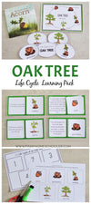 Oak Tree Life Cycle Montessori Inspired – Pinay Homeschooler Shop