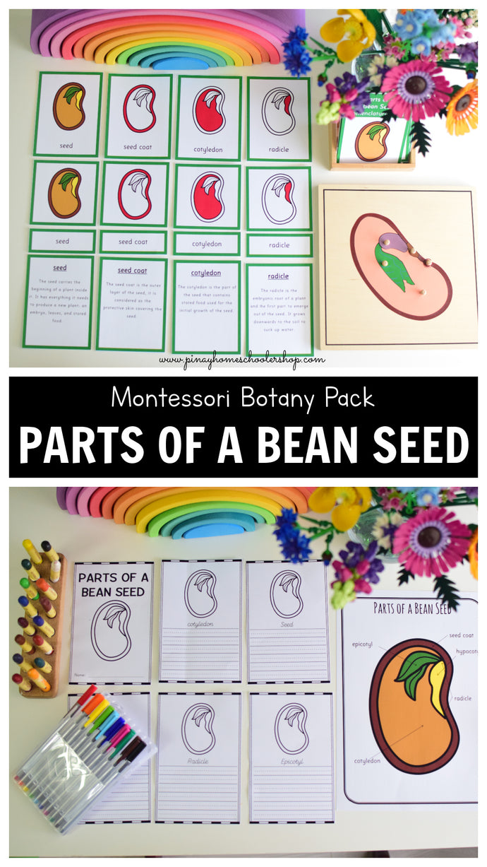 Botany Bundle - Montessori Pack – Pinay Homeschooler Shop