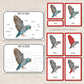 Montessori 3 Part Cards Zoology BUNDLE – Pinay Homeschooler Shop