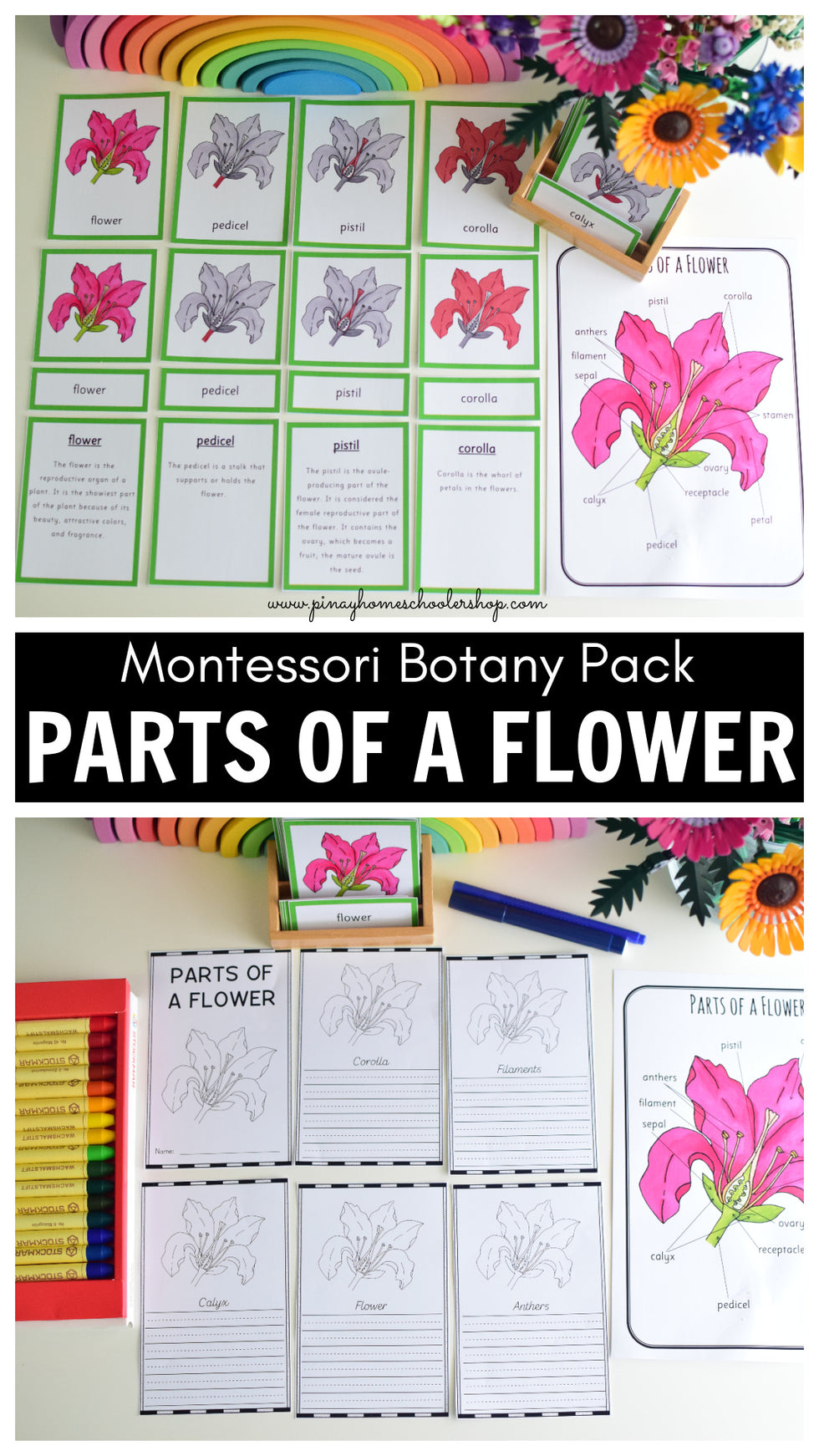 Botany Bundle - Montessori Pack – Pinay Homeschooler Shop