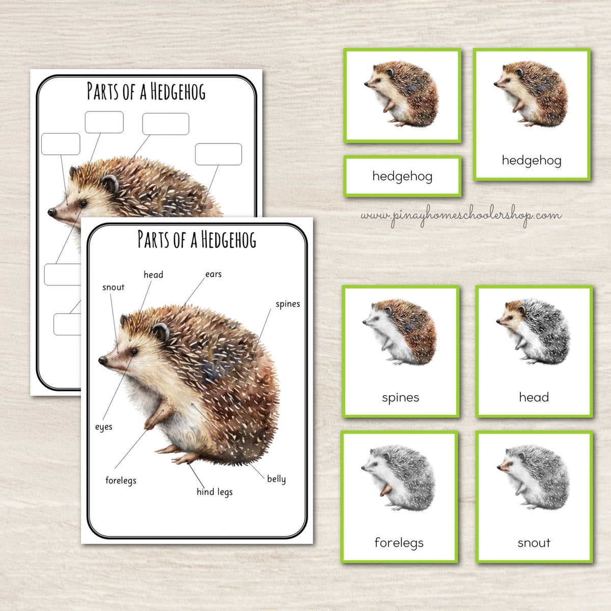 Montessori Parts of a Hedgehog 3 Learning Pack – Pinay Homeschooler Shop