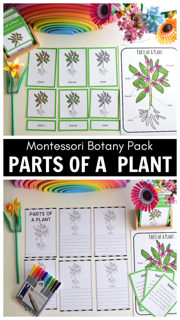 Botany Bundle - Montessori Pack – Pinay Homeschooler Shop