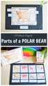 Montessori Parts of a Polar Bear – Pinay Homeschooler Shop