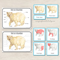 Montessori Parts of a Polar Bear – Pinay Homeschooler Shop