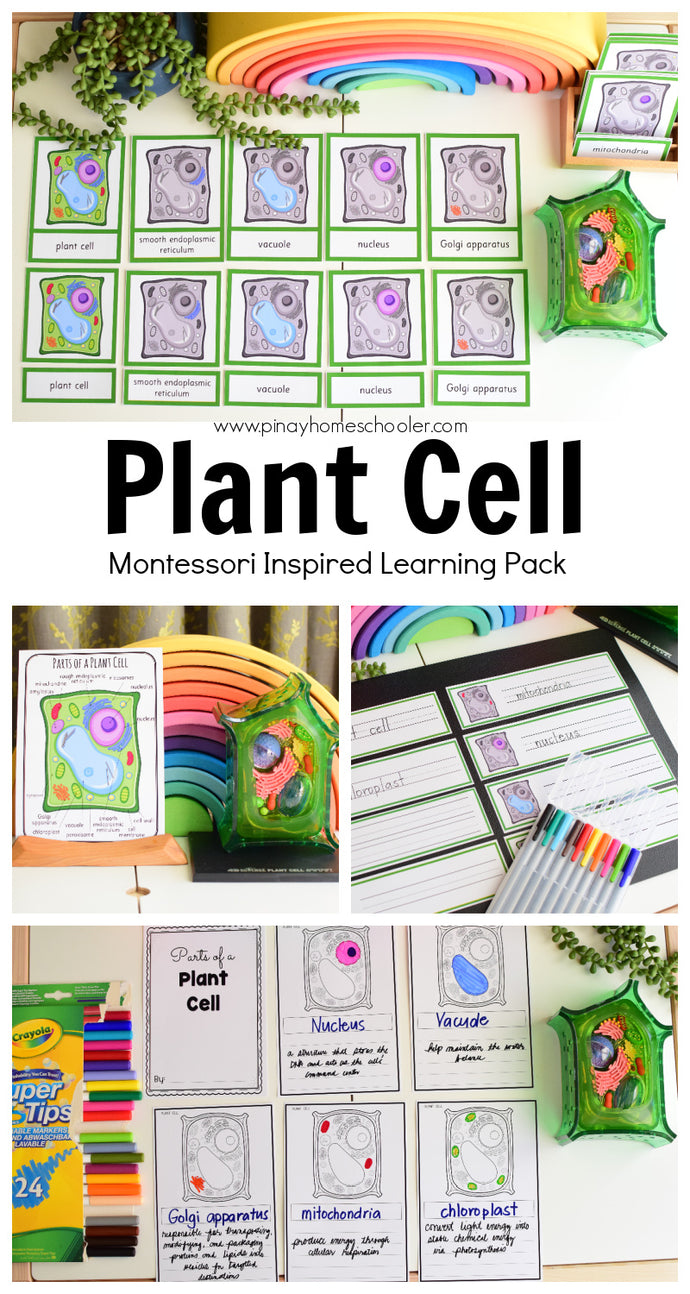 Parts of a Plant Cell Montessori 3 Part Cards | 4 Part Cards – Pinay ...