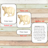 Montessori Parts of a Polar Bear – Pinay Homeschooler Shop
