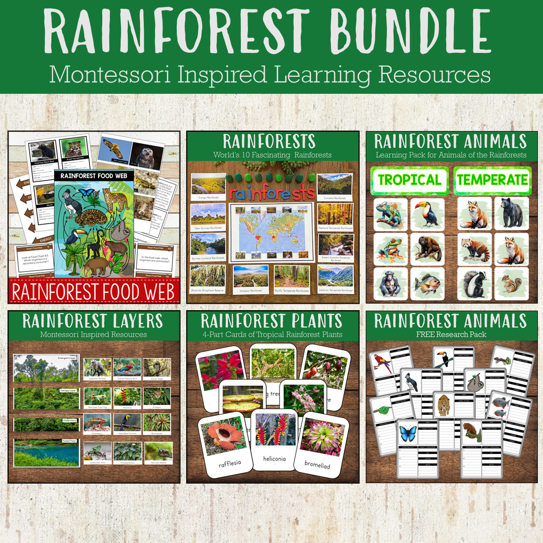Rainforest Learning BUNDLE – Pinay Homeschooler Shop