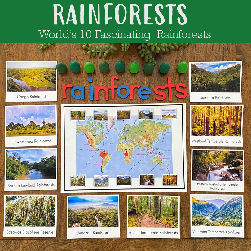 Rainforests - World's 10 Fascinating Rainforests – Pinay Homeschooler Shop
