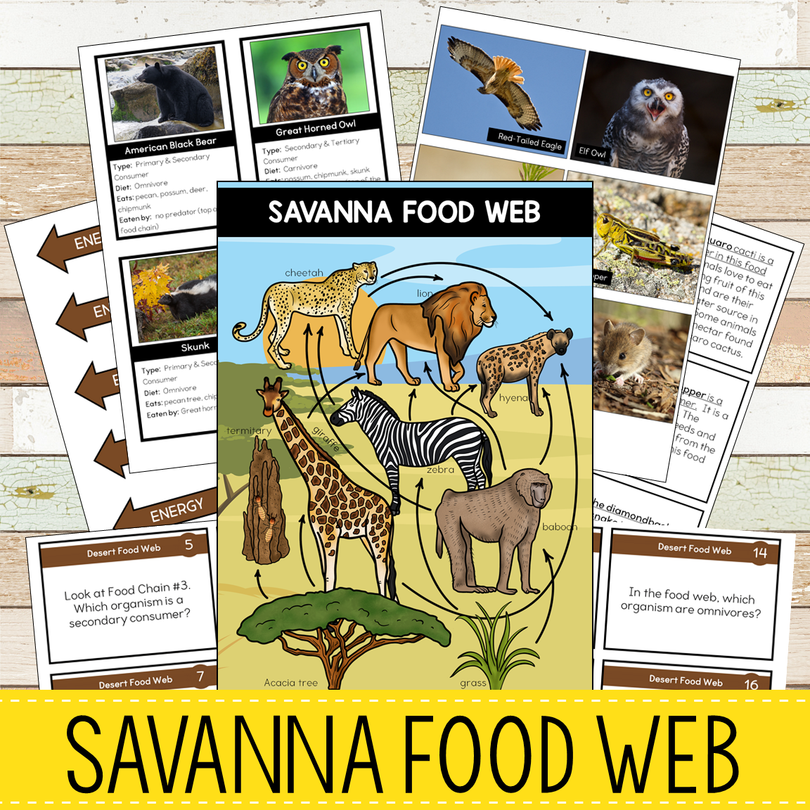 Savanna Biome Food Web and Food Chains Learning Pack – Pinay ...