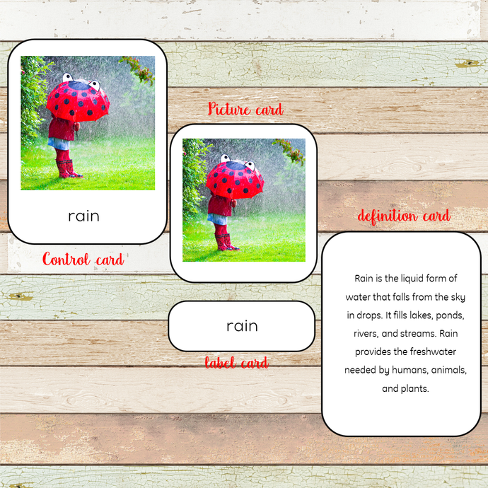 Weather Montessori 3 Part Cards and Definitions – Pinay Homeschooler Shop
