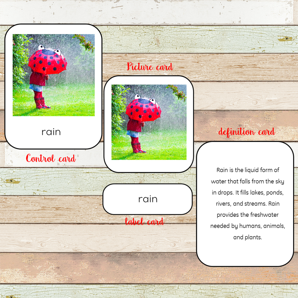Weather Montessori 3 Part Cards and Definitions – Pinay Homeschooler Shop